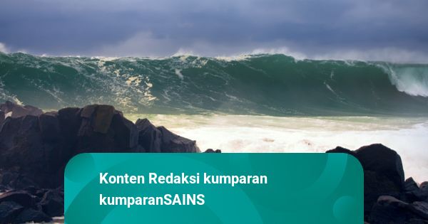 Ini Satu-satunya Cara untuk Bisa Selamat dari Tsunami 10 Meter | kumparan.com
